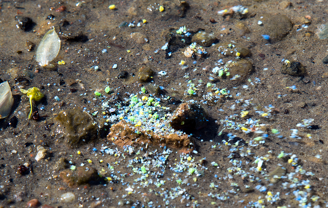 Bam Papers Of The Month Detecting Microplastics In Compost With